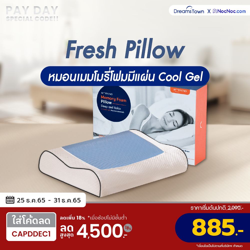 Morning Sleep หมอนเมมโมรี่โฟม รุ่น Fresh Pillow มี Cool Gel Pad Fresh Pillow - บริษัท ฮอริซอน ...